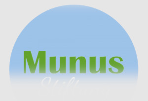 Der Weg zur Stiftung - Munus Stiftung