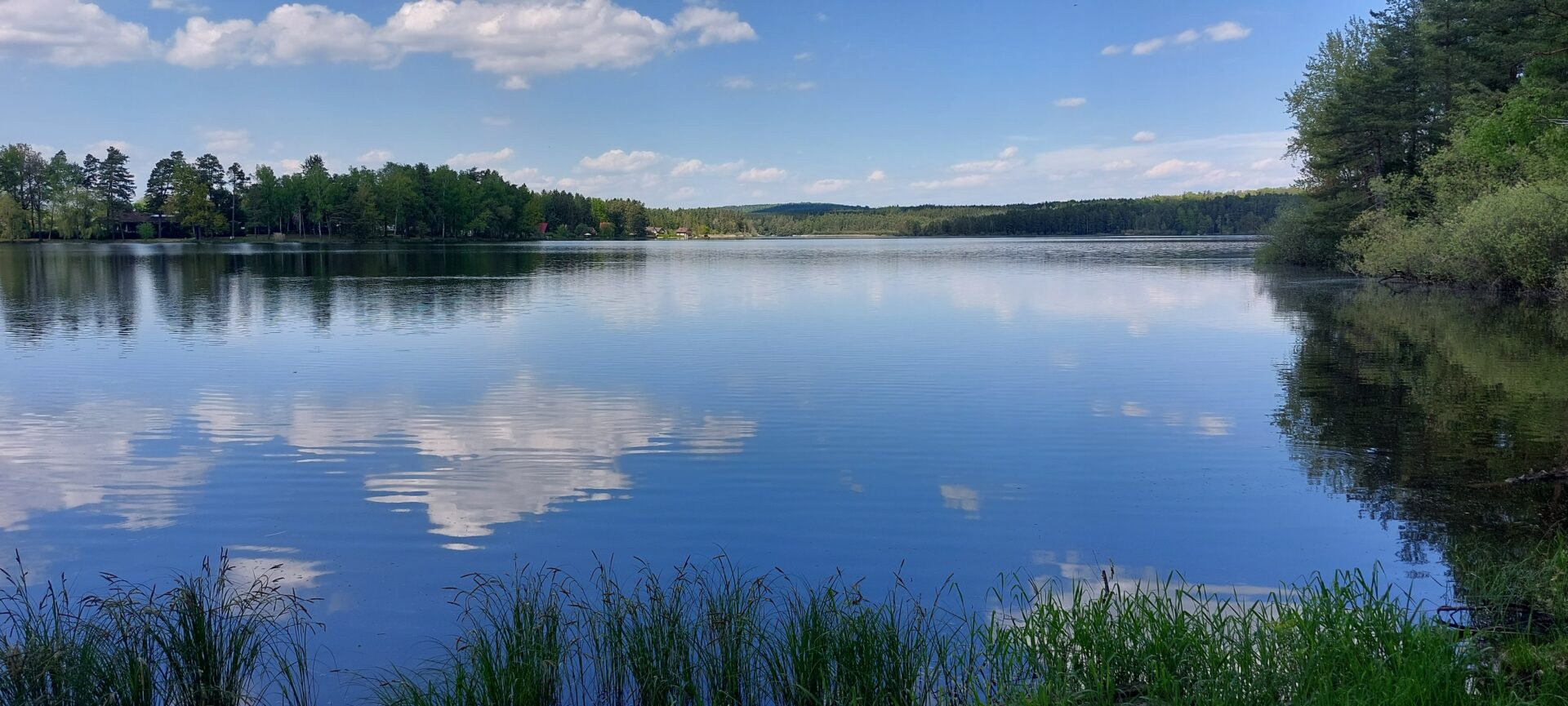 Munus Newsletter | Juni 2025 - Munus Stiftung